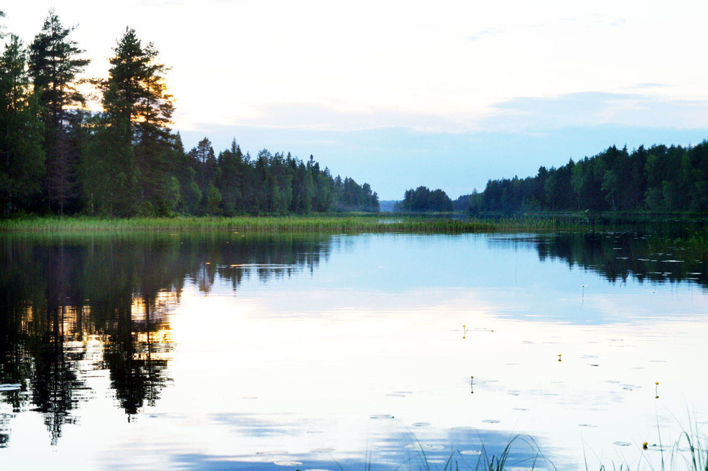 It-verkkokauppa yrityksille - Atea eShop | Atea